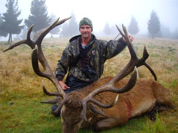 Kevesebb gímszarvast lőnek ki az idén Tolnában